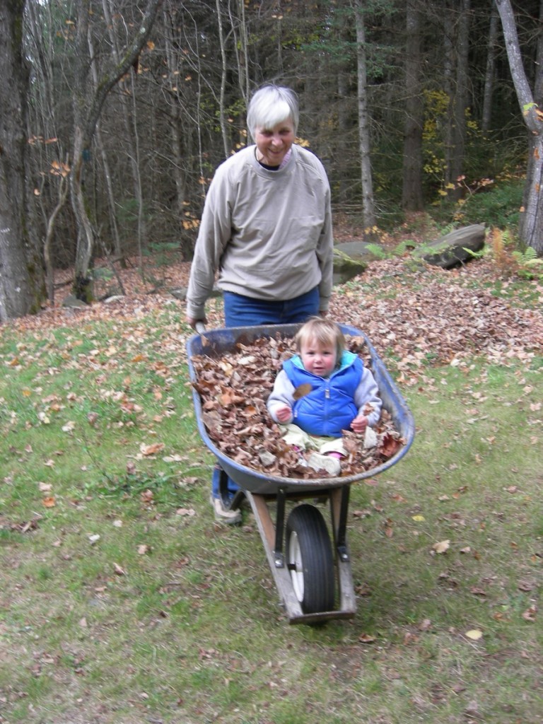 Autumn Photos – Barton Area Chamber of Commerce