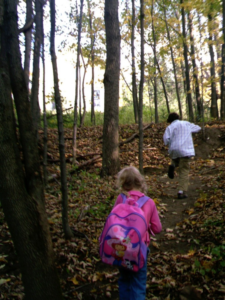 Autumn Photos – Barton Area Chamber of Commerce