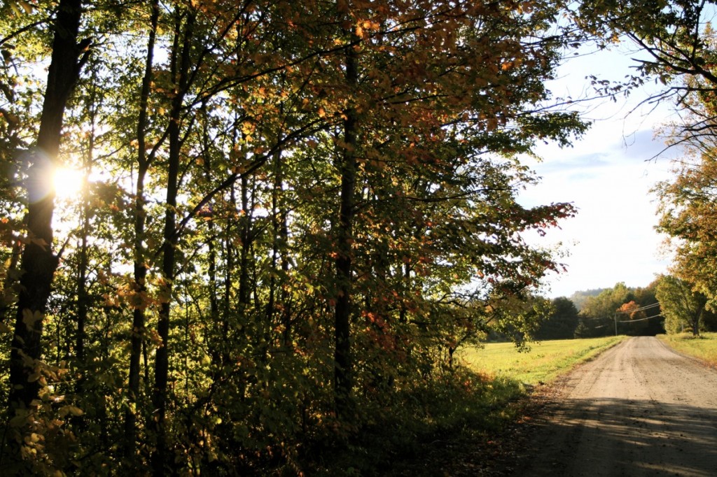 Autumn Photos – Barton Area Chamber of Commerce
