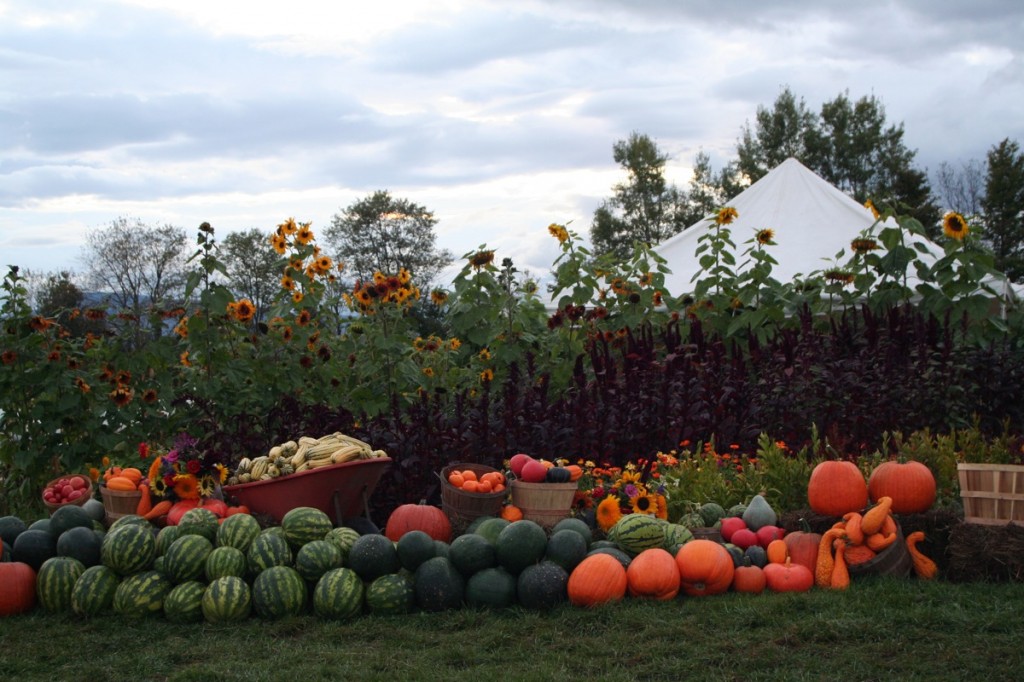 Autumn Photos – Barton Area Chamber of Commerce