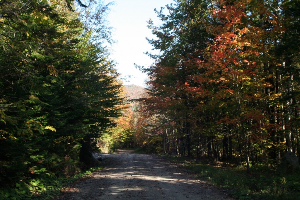 Autumn Photos – Barton Area Chamber of Commerce